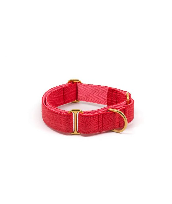 Arnés o collar, ¿cuál es mejor? | Weekend Arnés o collar, ¿cuál es mejor? | Weekend