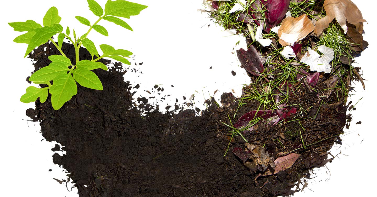 Hagamos composta en botellas | Weekend